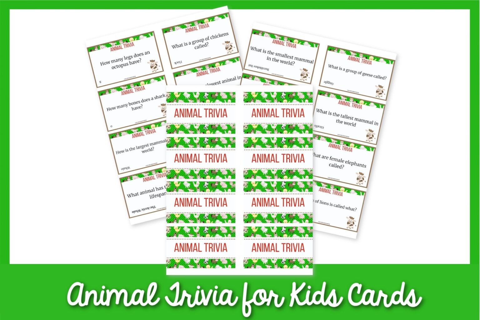100 Animal Trivia Question for Kids