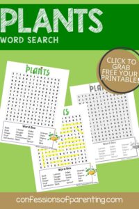 The Best Free Plants Word Search Printable