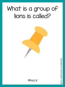 50 Fascinating 4th Grade Trivia Questions