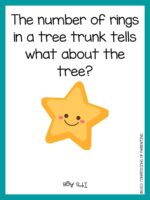 50 Fascinating 4th Grade Trivia Questions - Confessions of Parenting ...