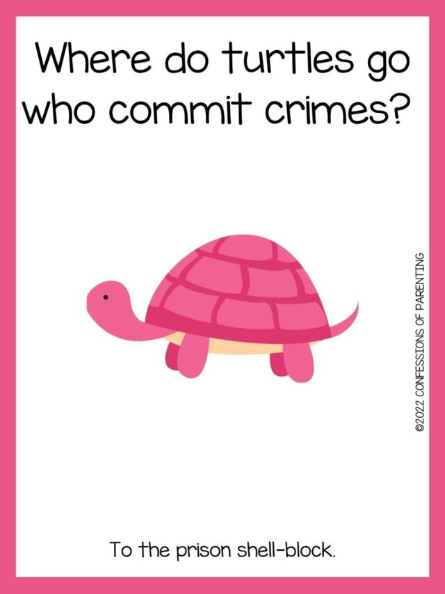 70 Toadly Awesome Turtle Jokes For Kids