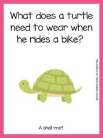 70 Toadly Awesome Turtle Jokes For Kids