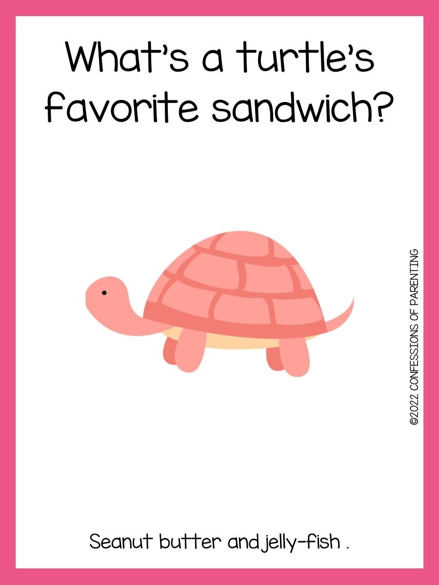 70 Toadly Awesome Turtle Jokes For Kids
