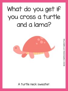70 Toadly Awesome Turtle Jokes For Kids