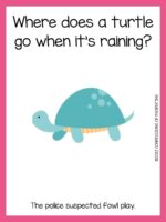70 Toadly Awesome Turtle Jokes For Kids