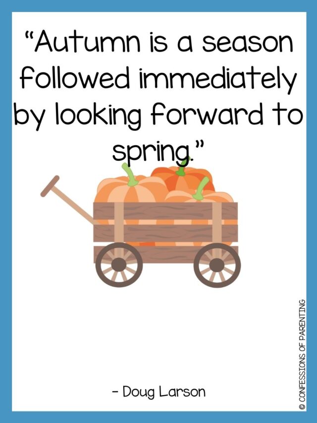 135 Funny Fall Sayings