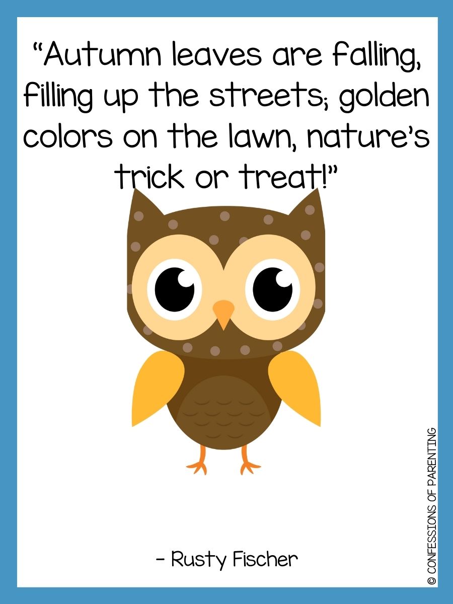 135 Funny Fall Sayings