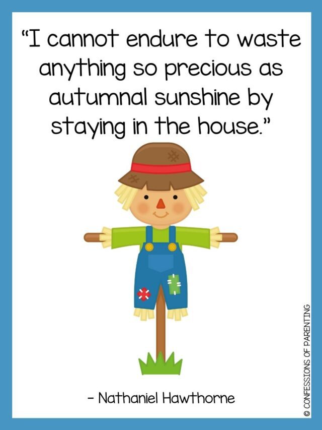 135 Funny Fall Sayings