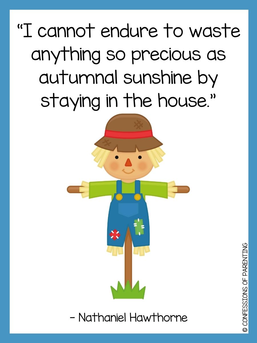 135 Funny Fall Sayings