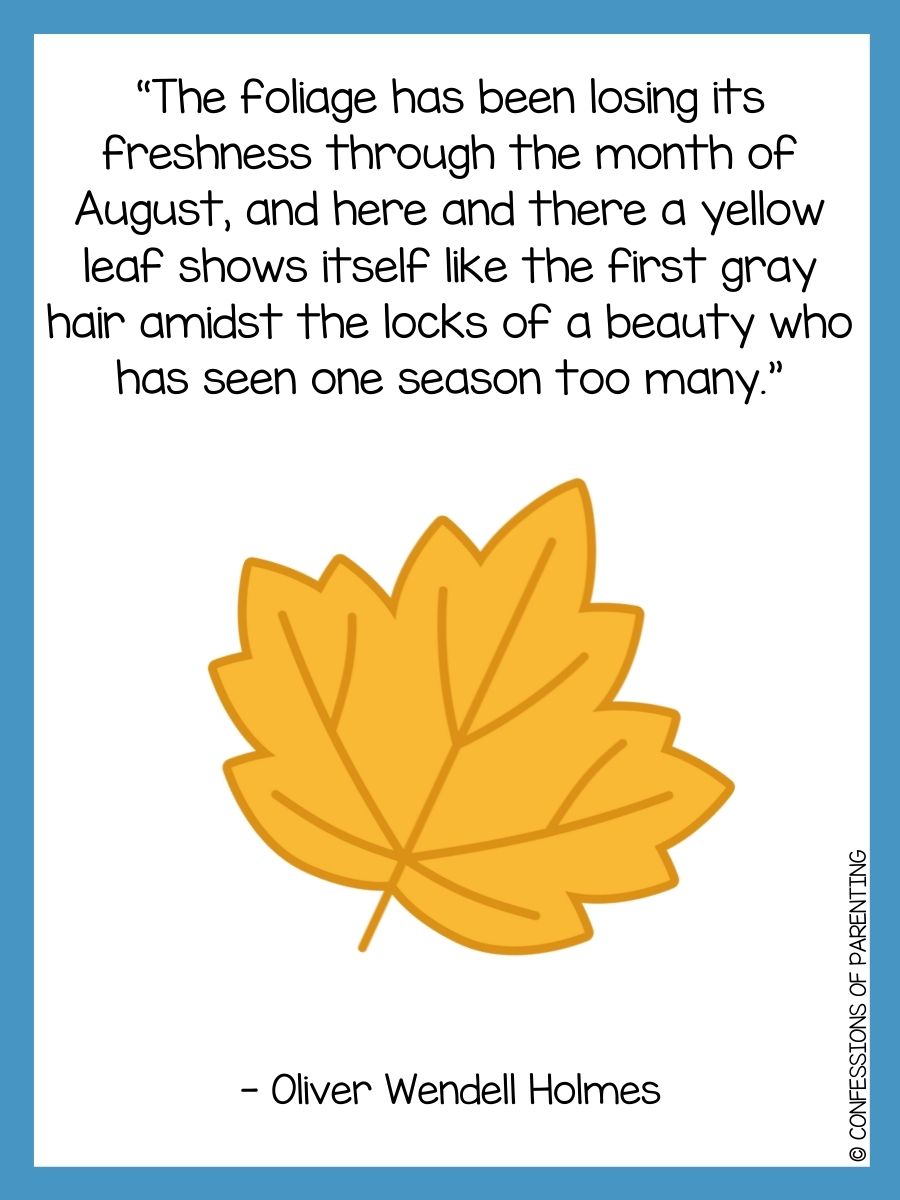 135 Funny Fall Sayings