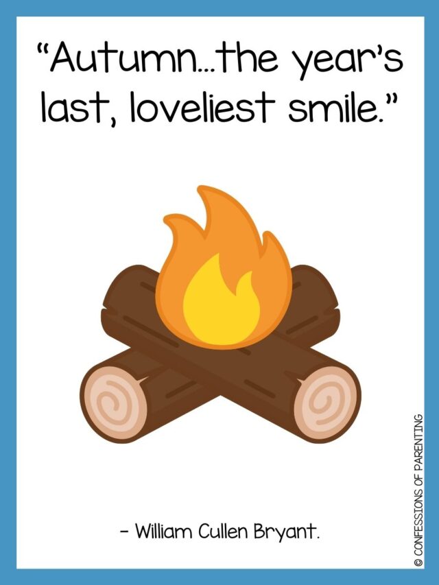 135 Funny Fall Sayings