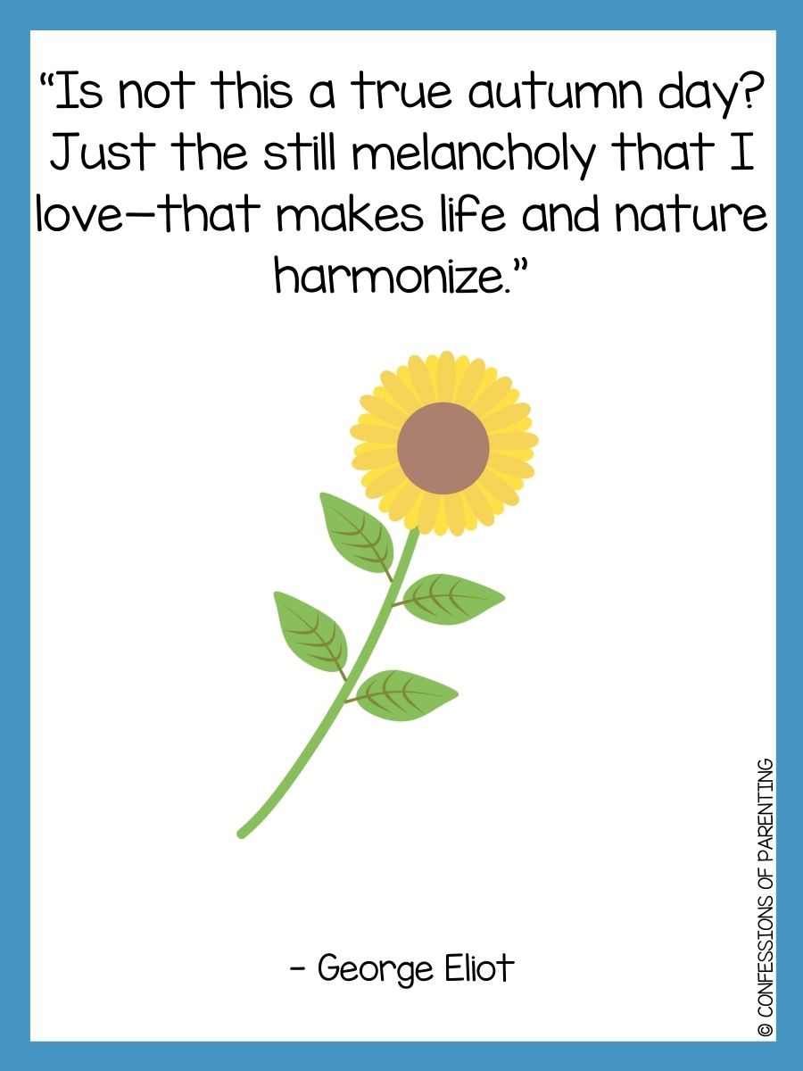 135 Funny Fall Sayings