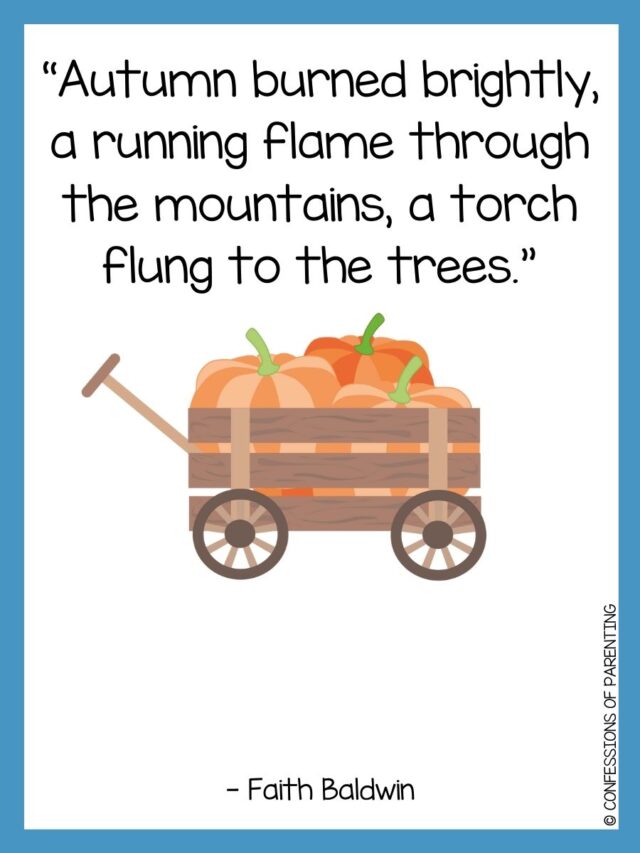 135 Funny Fall Sayings