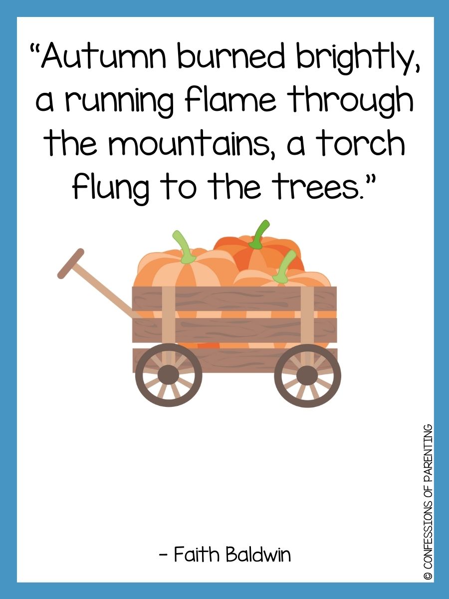 135 Funny Fall Sayings