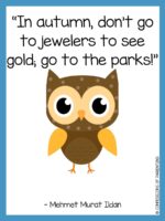 135 Funny Fall Sayings