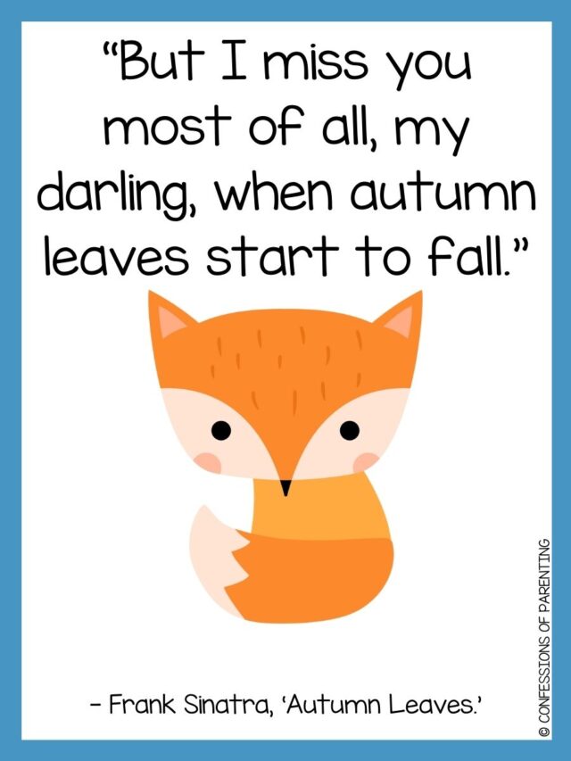 135 Funny Fall Sayings