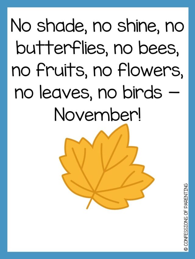 135 Funny Fall Sayings