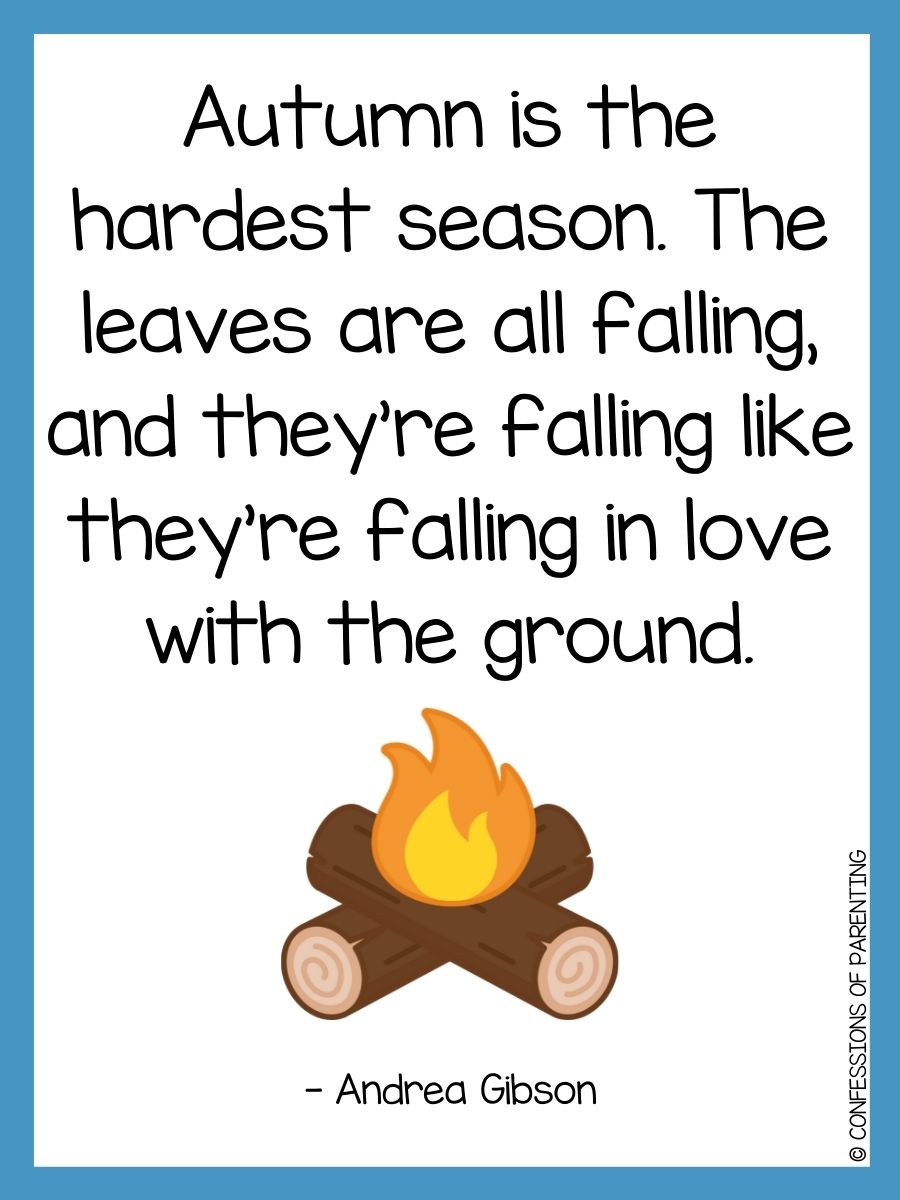 135 Funny Fall Sayings