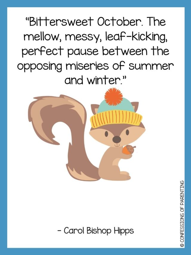 135 Funny Fall Sayings