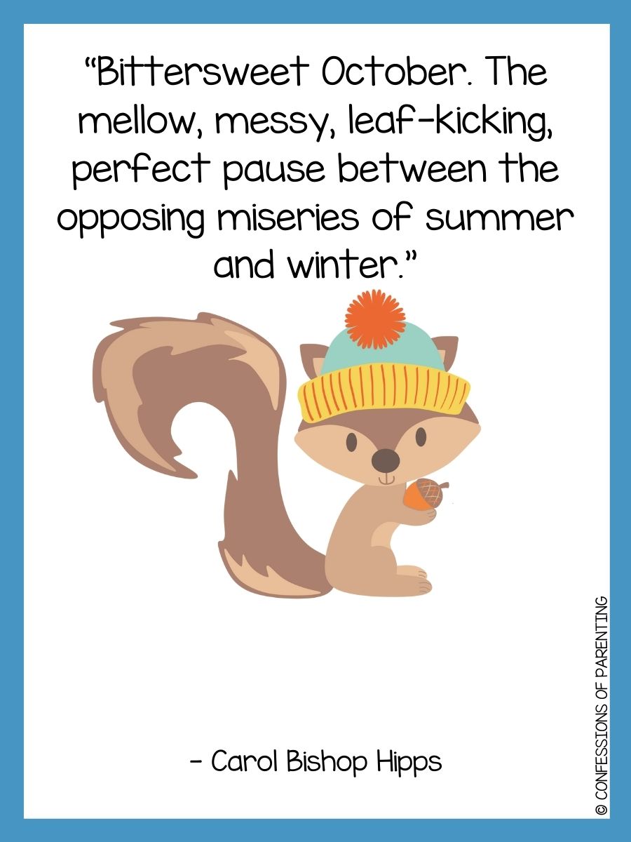 135 Funny Fall Sayings