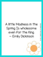 Funny Spring Sayings