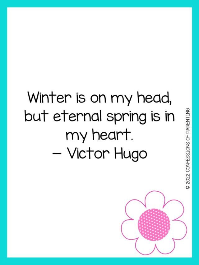 Funny Spring Sayings