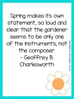 Funny Spring Sayings