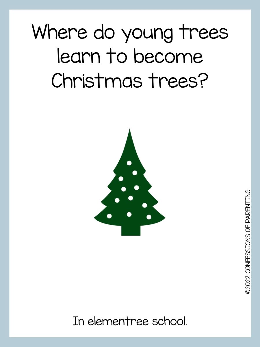 90 Best Christmas Tree Jokes That Are Tree-Mendous