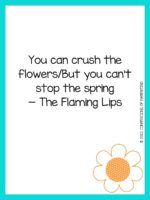 Funny Spring Sayings