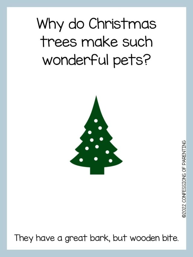 90 Best Christmas Tree Jokes That Are Tree-Mendous