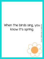 Funny Spring Sayings