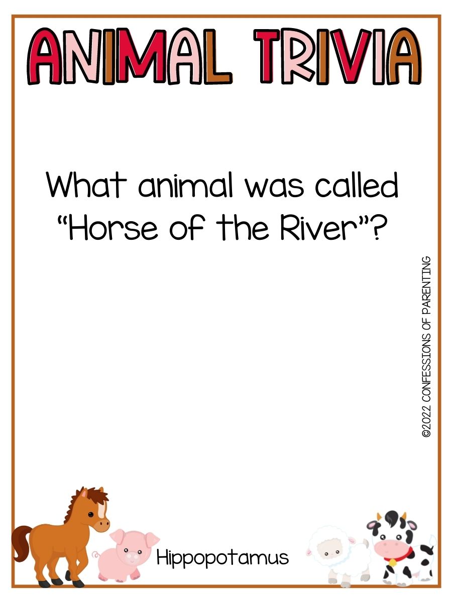 100 Animal Trivia Question for Kids