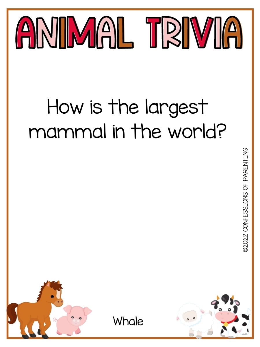 100 Animal Trivia Question for Kids - Confessions of Parenting- Fun ...