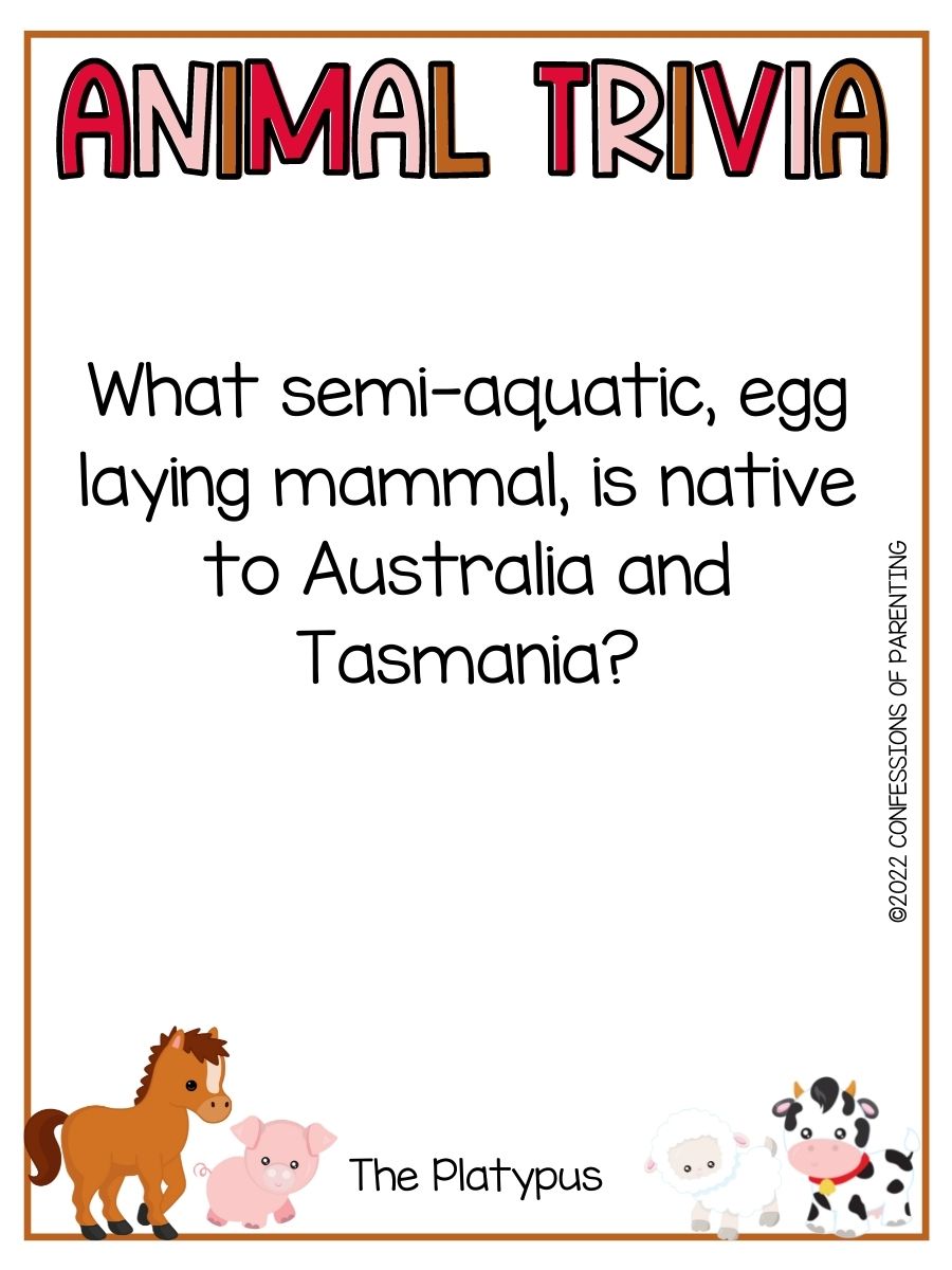 100 Animal Trivia Question for Kids