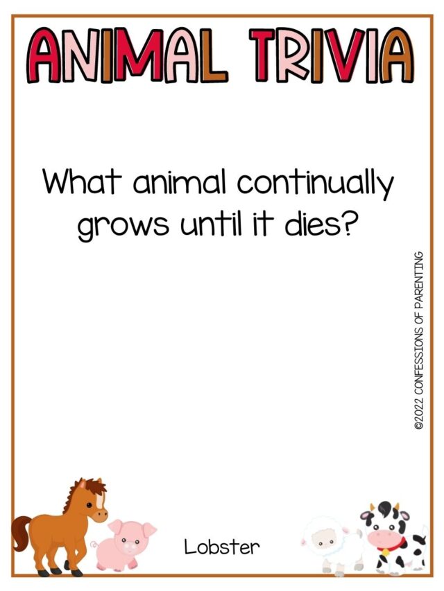 100 Animal Trivia Question for Kids - Confessions of Parenting- Fun ...