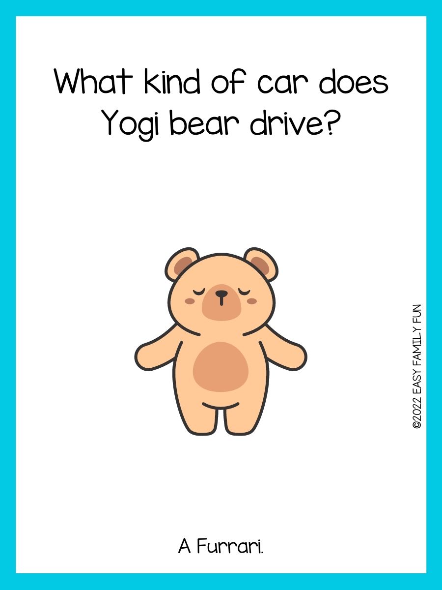 100 of the Best Bear Jokes for Kids [Good Clean Fun]