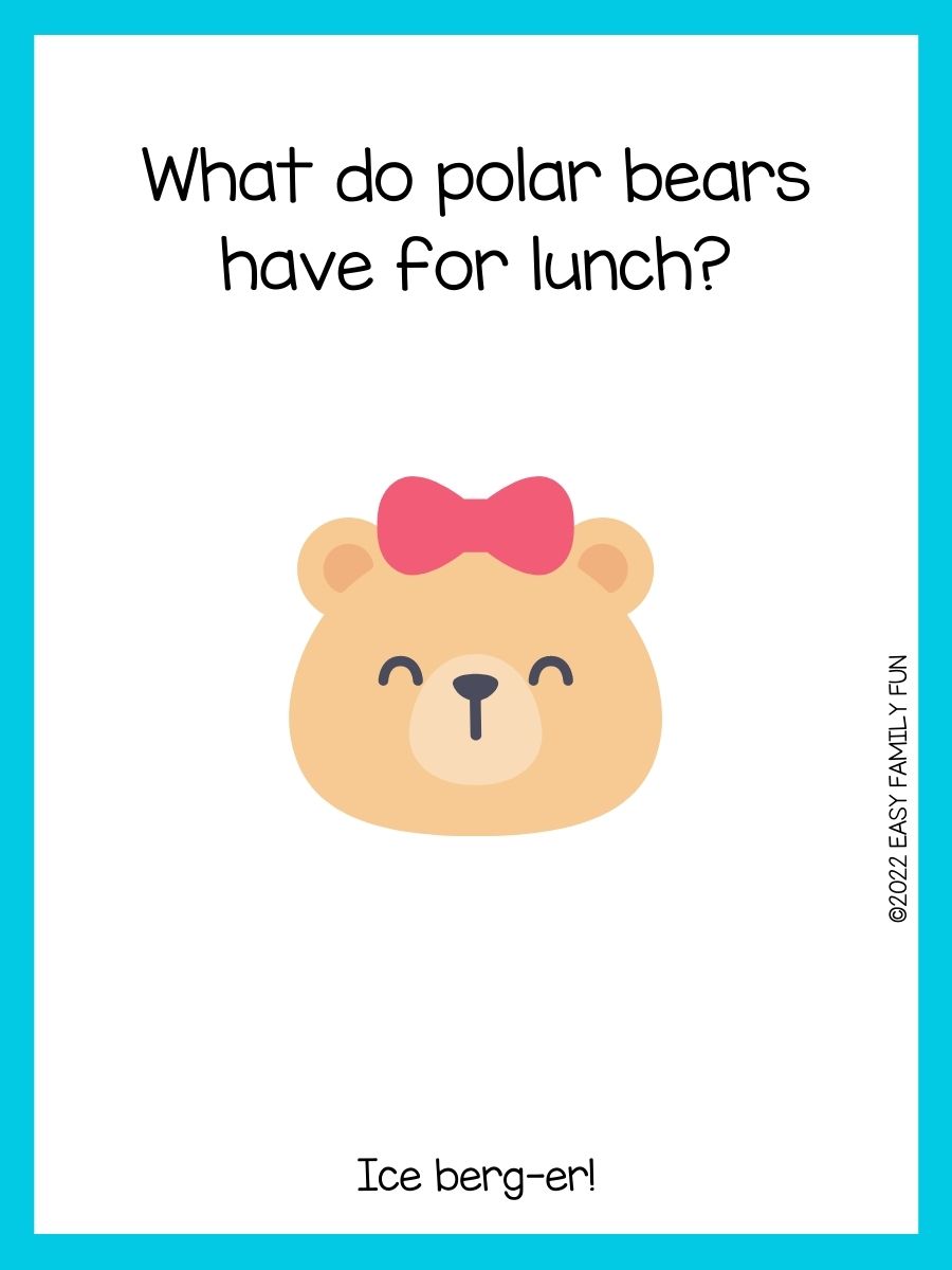 100 of the Best Bear Jokes for Kids [Good Clean Fun]