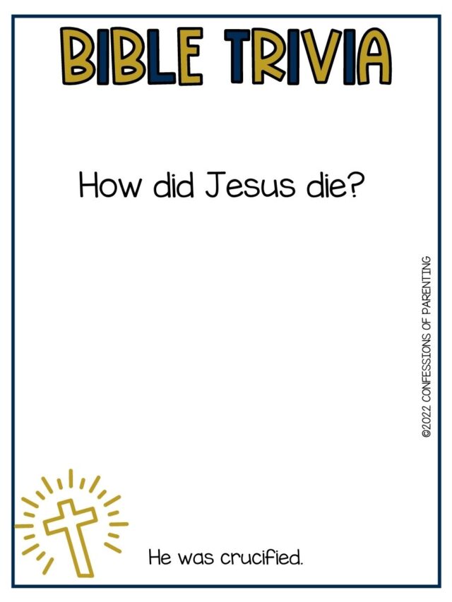 200+ Awesome Bible Trivia Questions and Answers!