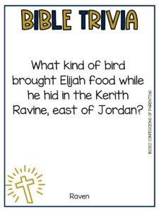 200+ Awesome Bible Trivia Questions and Answers! - Confessions of ...