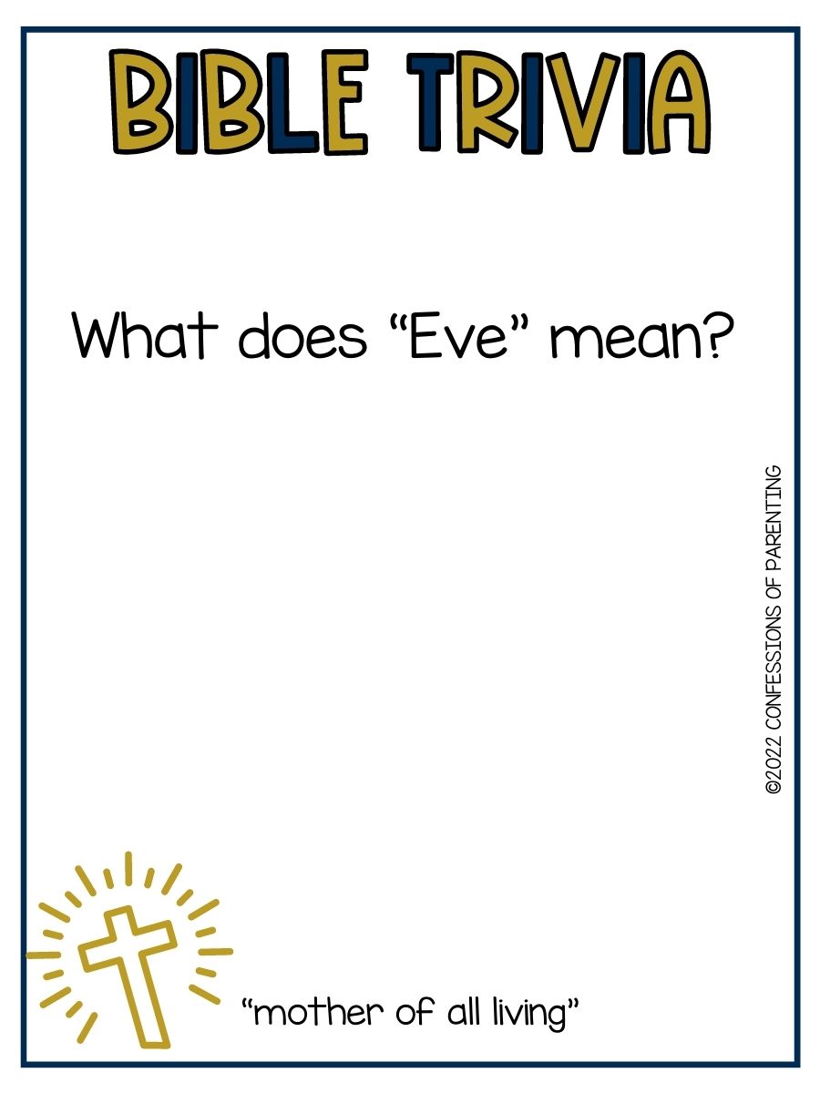 200+ Awesome Bible Trivia Questions and Answers!