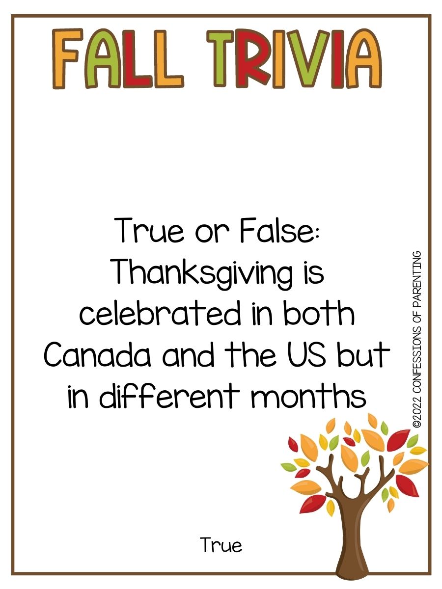 175 Best Fall Trivia Questions + Answers [for Kids & Adults]