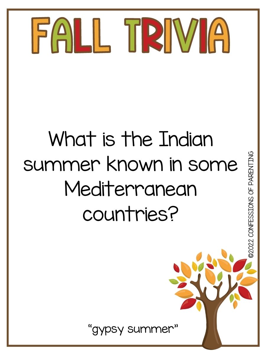 175 Best Fall Trivia Questions + Answers [for Kids & Adults]