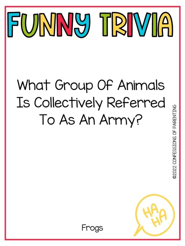 Best Funny Trivia Questions for Kids