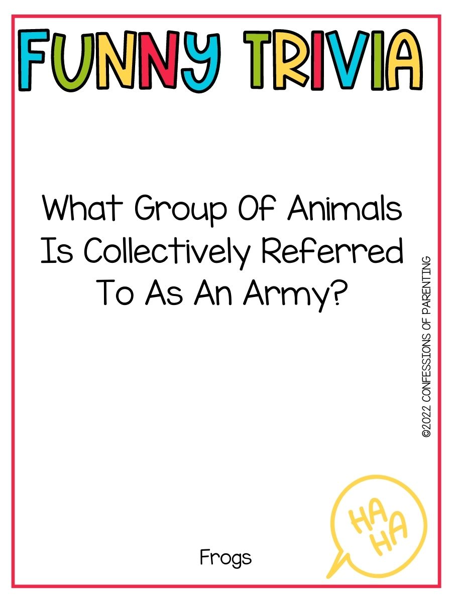 Best Funny Trivia Questions for Kids