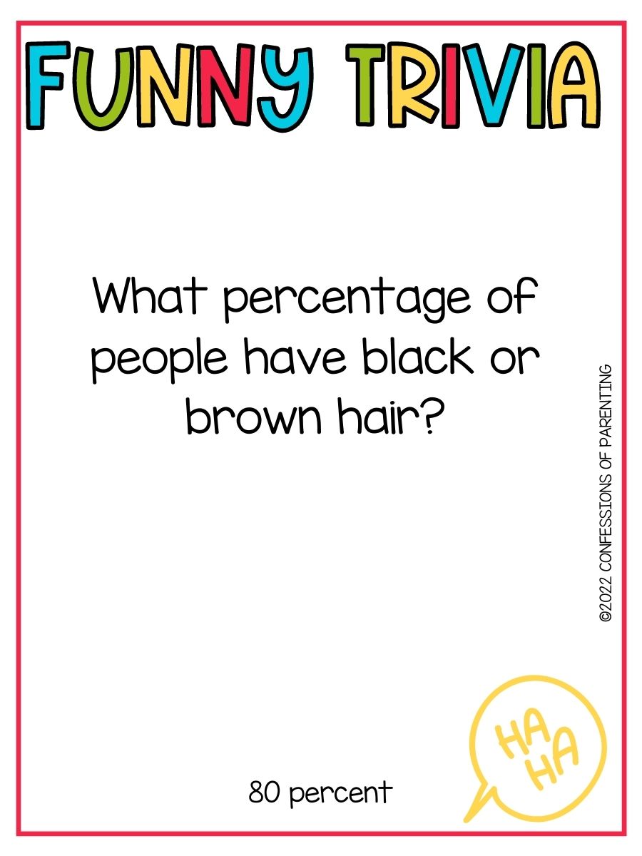 Best Funny Trivia Questions for Kids