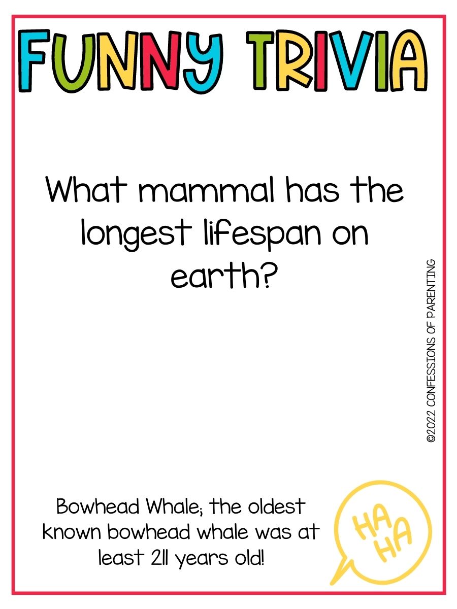Best Funny Trivia Questions for Kids