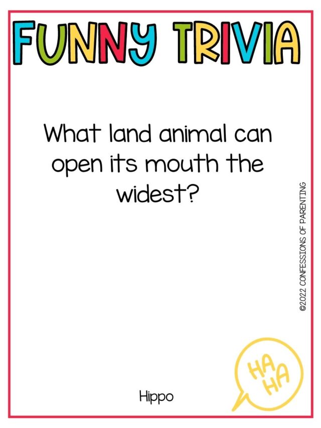 Best Funny Trivia Questions for Kids