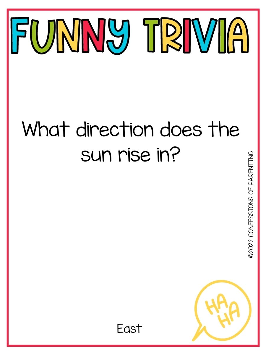 Best Funny Trivia Questions for Kids
