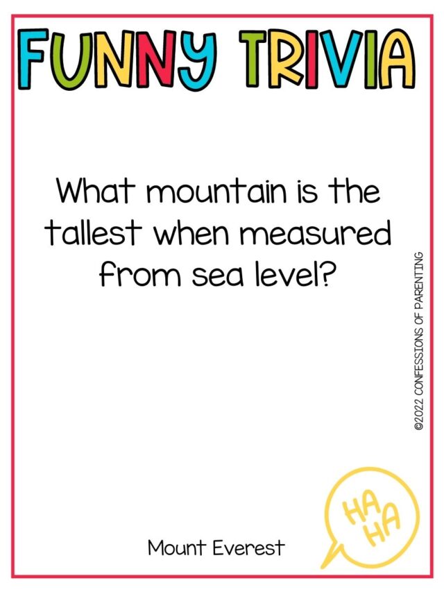 Best Funny Trivia Questions for Kids