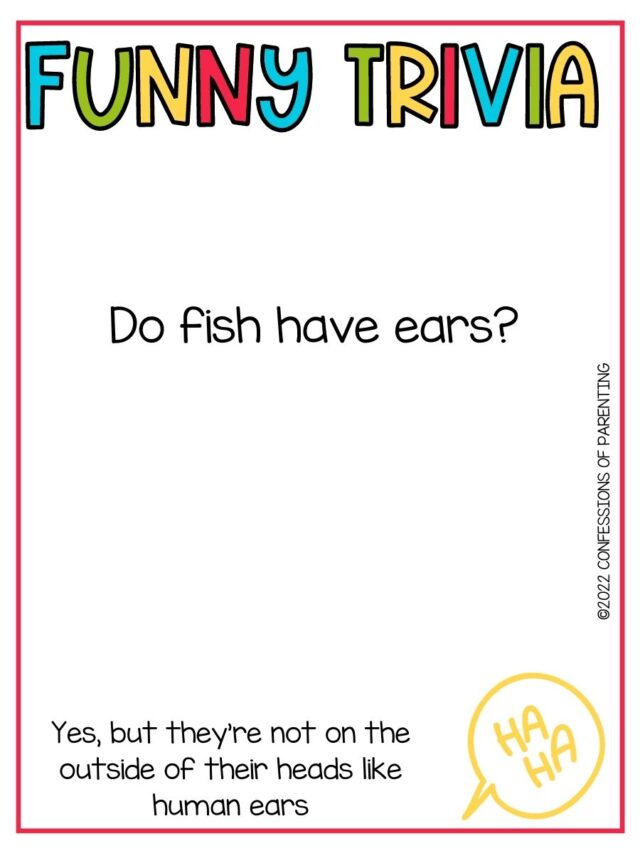 Funny Trivia Questions for Kids - Confessions of Parenting- Fun Games ...